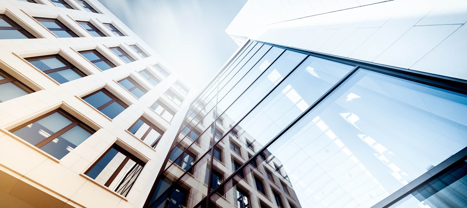 Your Team - Meliambro Private Wealth - Kanata, ON